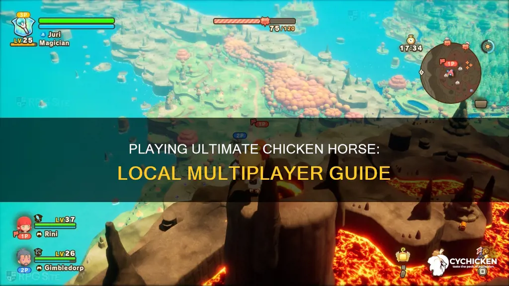 Playing Ultimate Chicken Horse: Local Multiplayer Guide | CyChicken