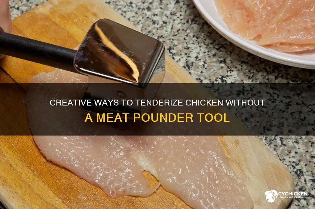 Creative Ways To Tenderize Chicken Without A Meat Pounder Tool | CyChicken