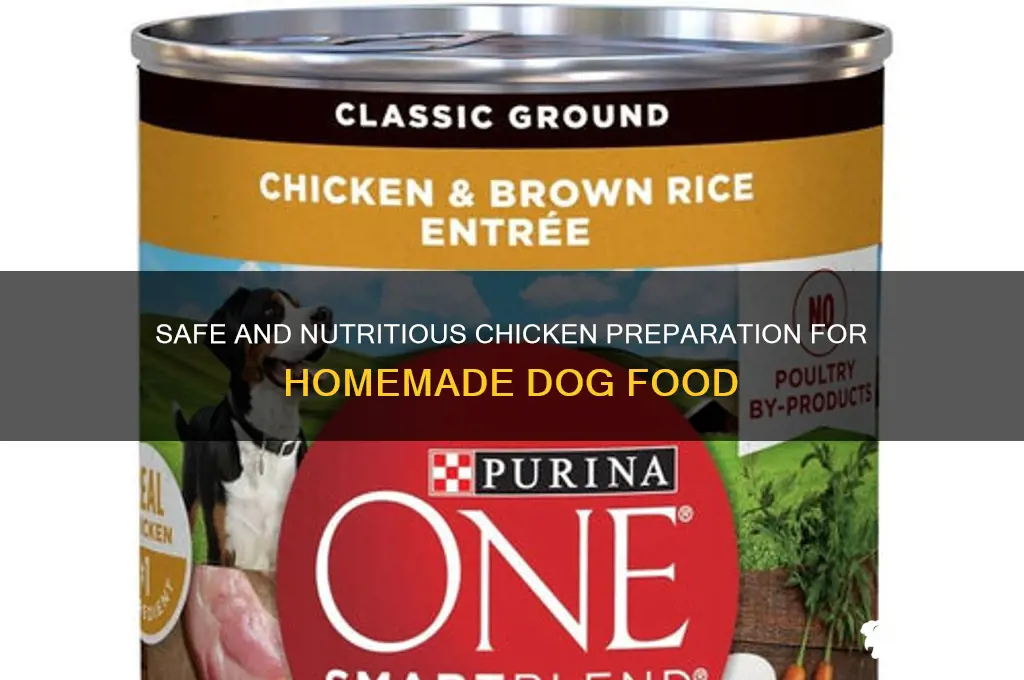 Safe And Nutritious Chicken Preparation For Homemade Dog Food | CyChicken