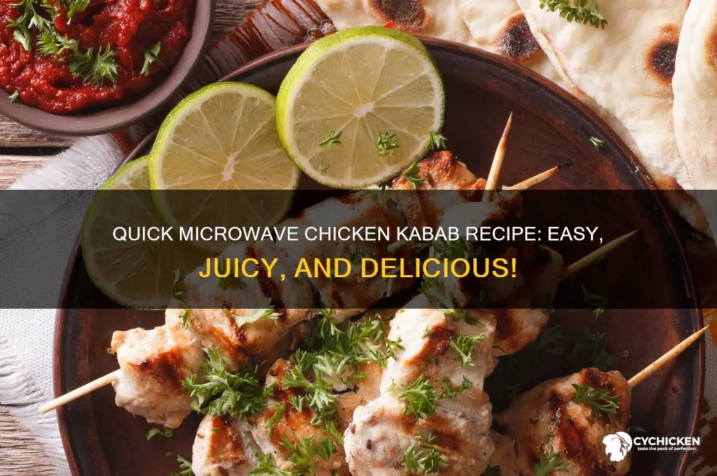Quick Microwave Chicken Kabab Recipe: Easy, Juicy, And Delicious ...