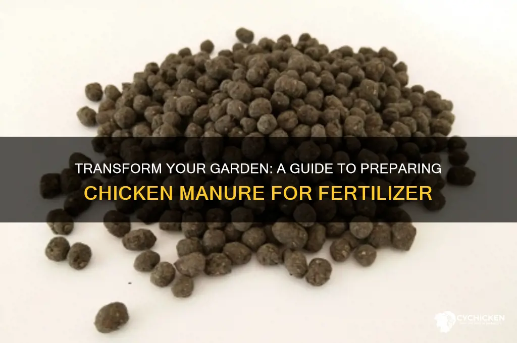 Transform Your Garden: A Guide To Preparing Chicken Manure For ...