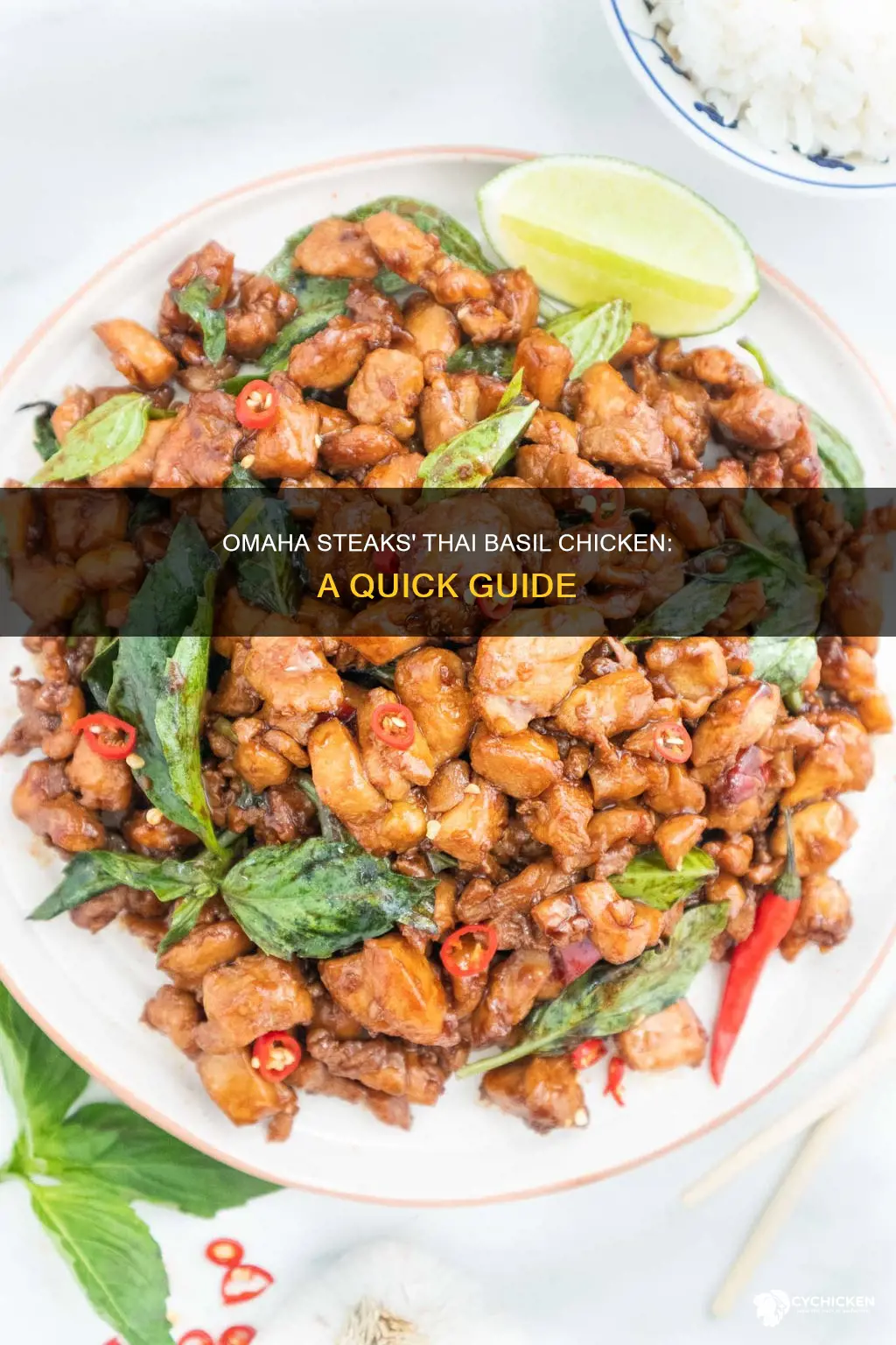 Omaha Steaks' Thai Basil Chicken: A Quick Guide | CyChicken