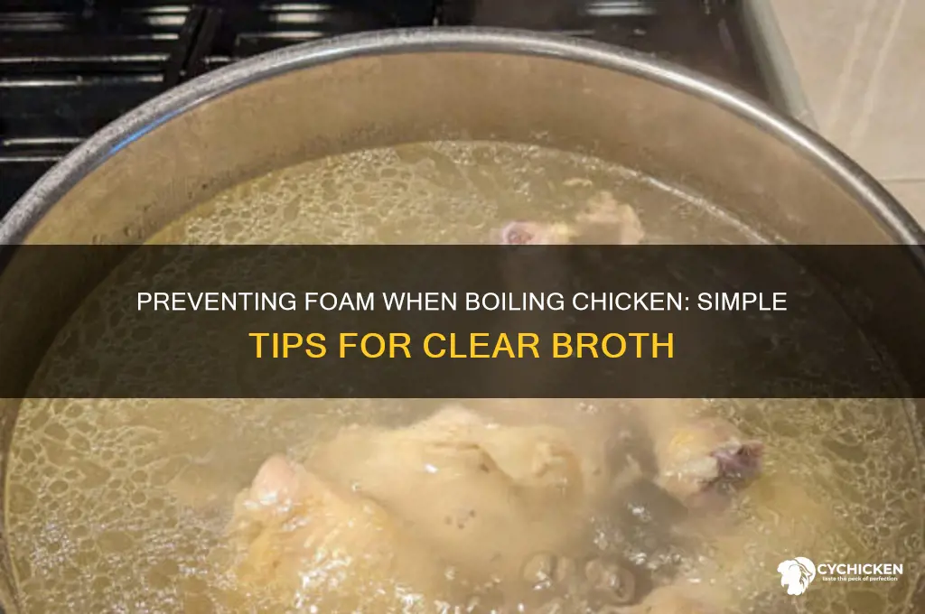 Preventing Foam When Boiling Chicken: Simple Tips For Clear Broth ...