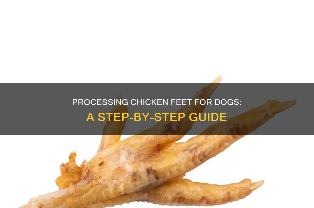 Processing Chicken Feet For Dogs: A Step-By-Step Guide | CyChicken