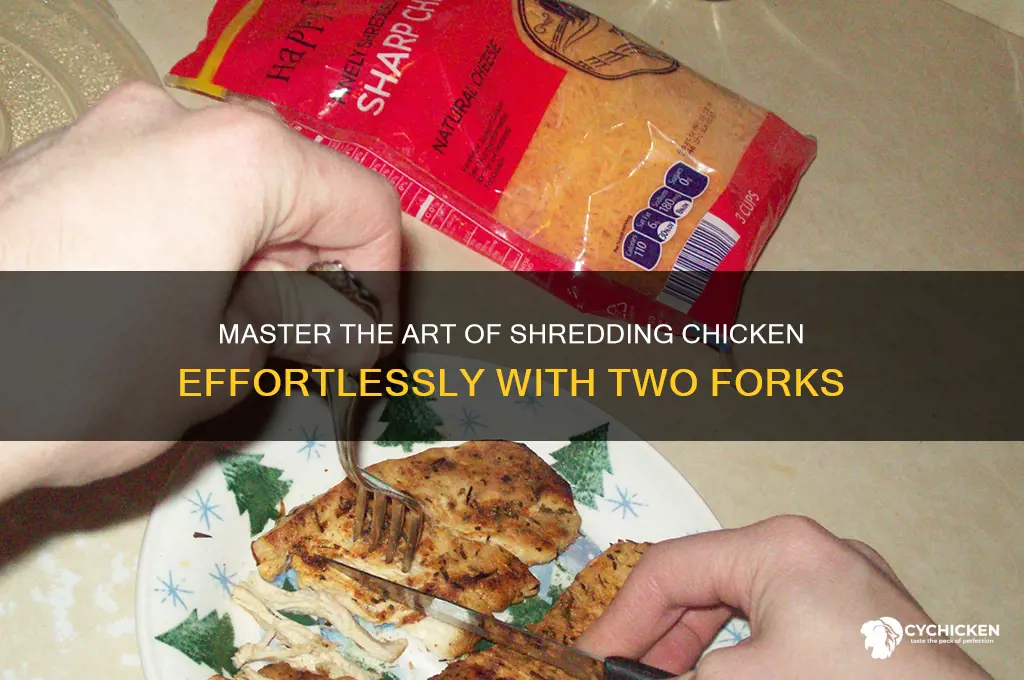 Master The Art Of Shredding Chicken Effortlessly With Two Forks | CyChicken