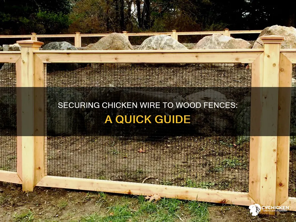 Securing Chicken Wire To Wood Fences: A Quick Guide | CyChicken
