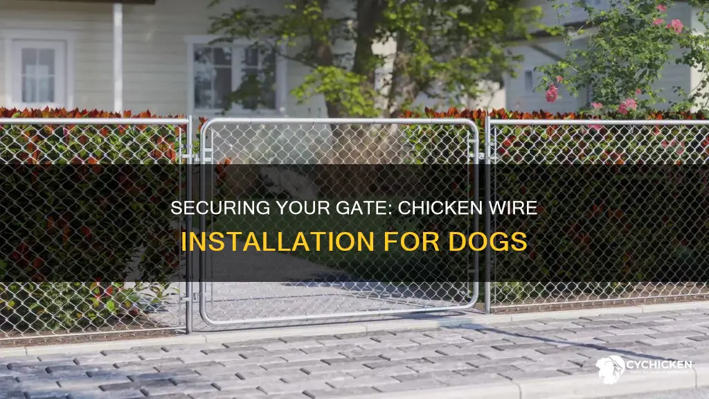 Securing Your Gate: Chicken Wire Installation For Dogs | CyChicken