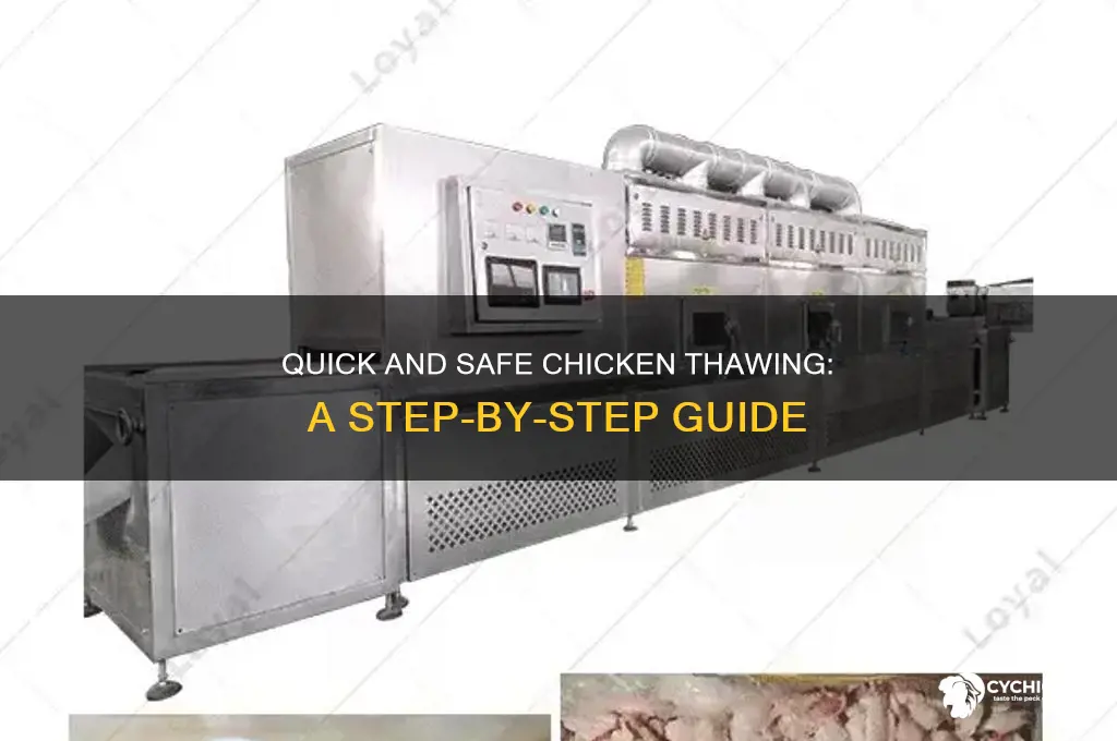 Quick And Safe Chicken Thawing: A Step-By-Step Guide | CyChicken