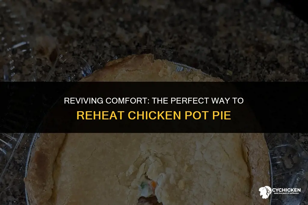 Reviving Comfort: The Perfect Way To Reheat Chicken Pot Pie | CyChicken