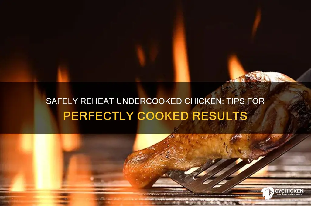 Safely Reheat Undercooked Chicken: Tips For Perfectly Cooked Results ...