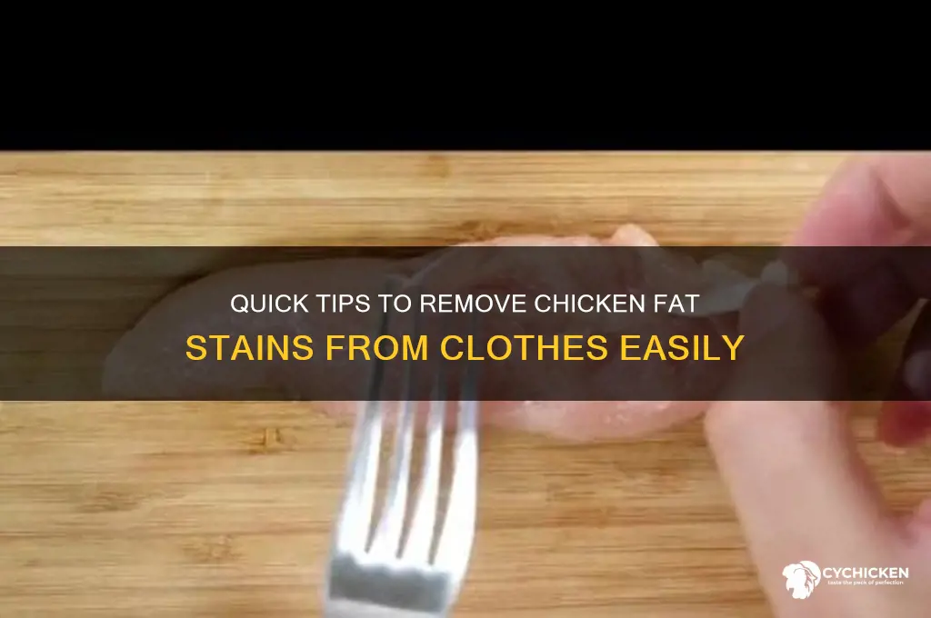 Quick Tips To Remove Chicken Fat Stains From Clothes Easily | CyChicken