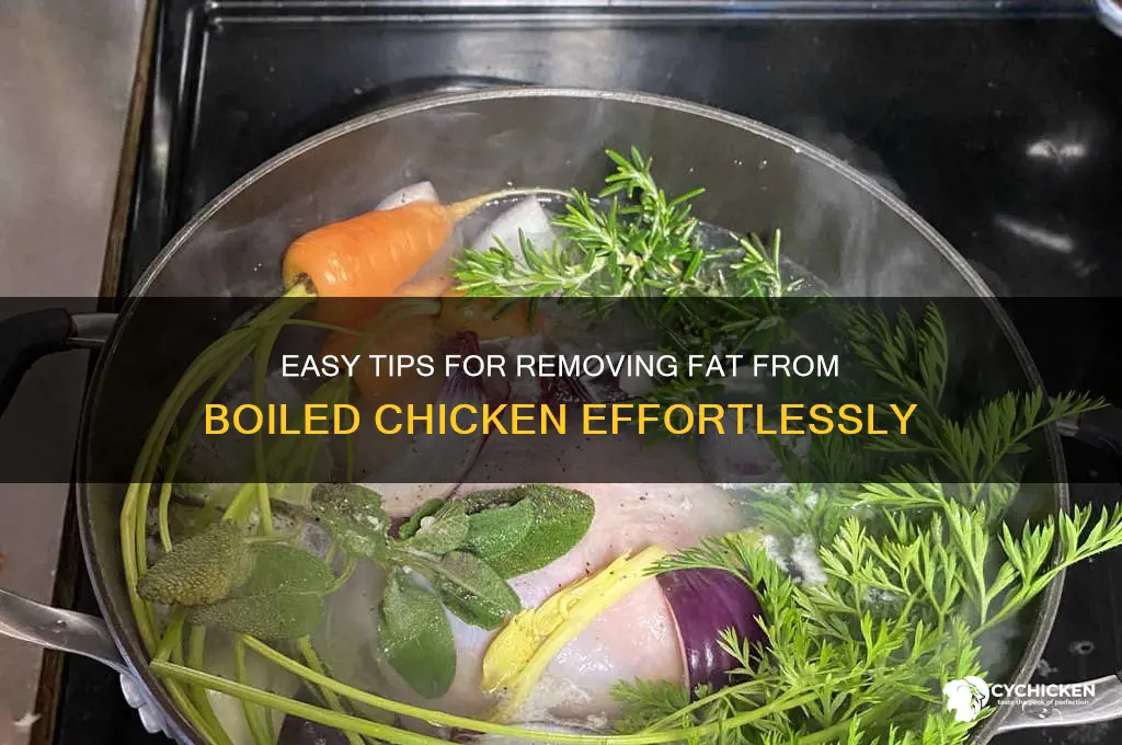 Easy Tips For Removing Fat From Boiled Chicken Effortlessly | CyChicken