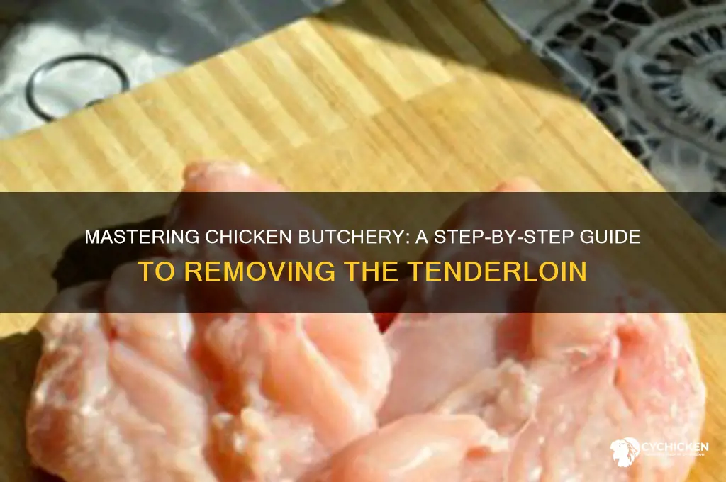 Mastering Chicken Butchery: A Step-By-Step Guide To Removing The ...