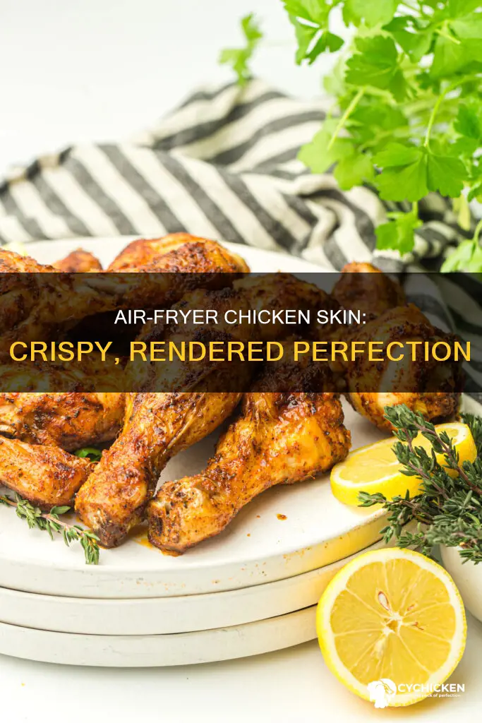 Air-Fryer Chicken Skin: Crispy, Rendered Perfection | CyChicken