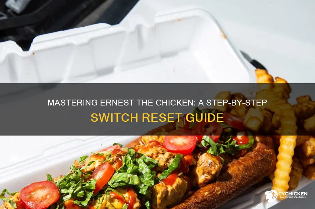 Mastering Ernest The Chicken: A Step-By-Step Switch Reset Guide | CyChicken