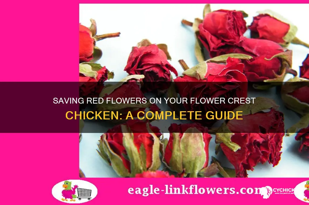 Saving Red Flowers On Your Flower Crest Chicken: A Complete Guide ...