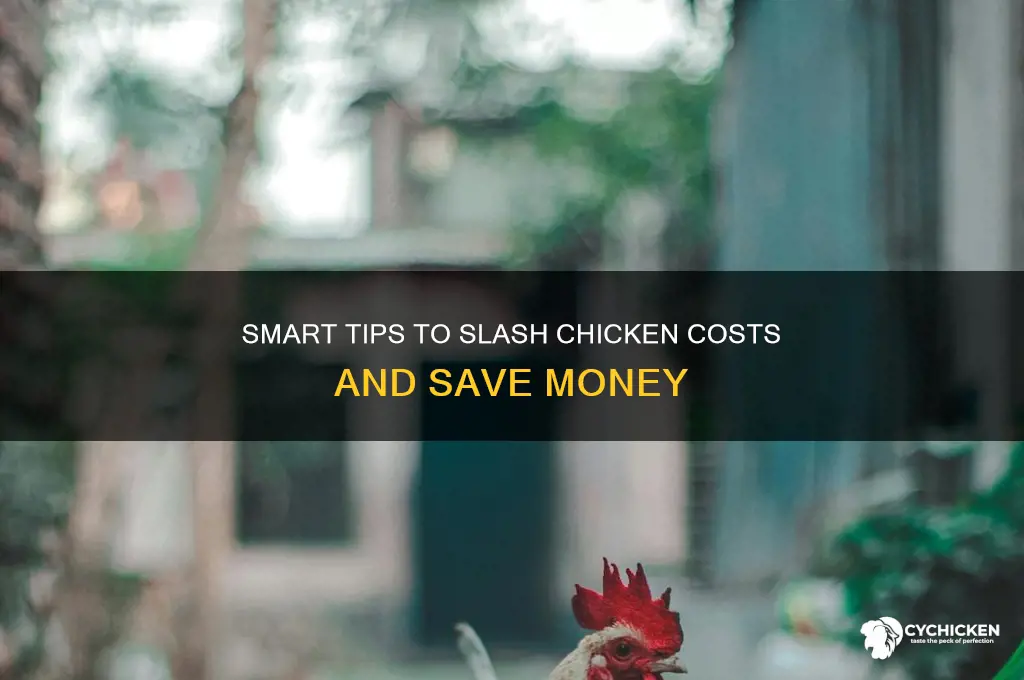 Smart Tips To Slash Chicken Costs And Save Money | CyChicken