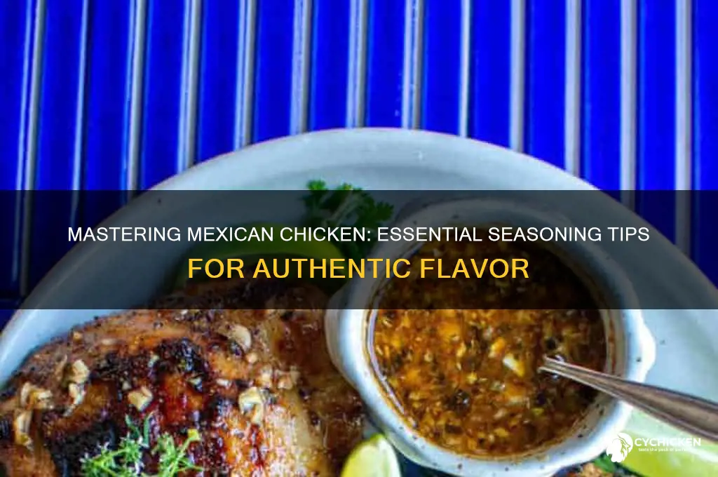 Mastering Mexican Chicken: Essential Seasoning Tips For Authentic ...