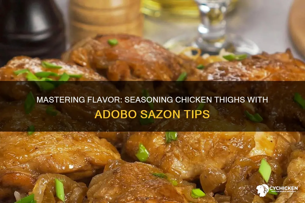Mastering Flavor: Seasoning Chicken Thighs With Adobo Sazon Tips ...