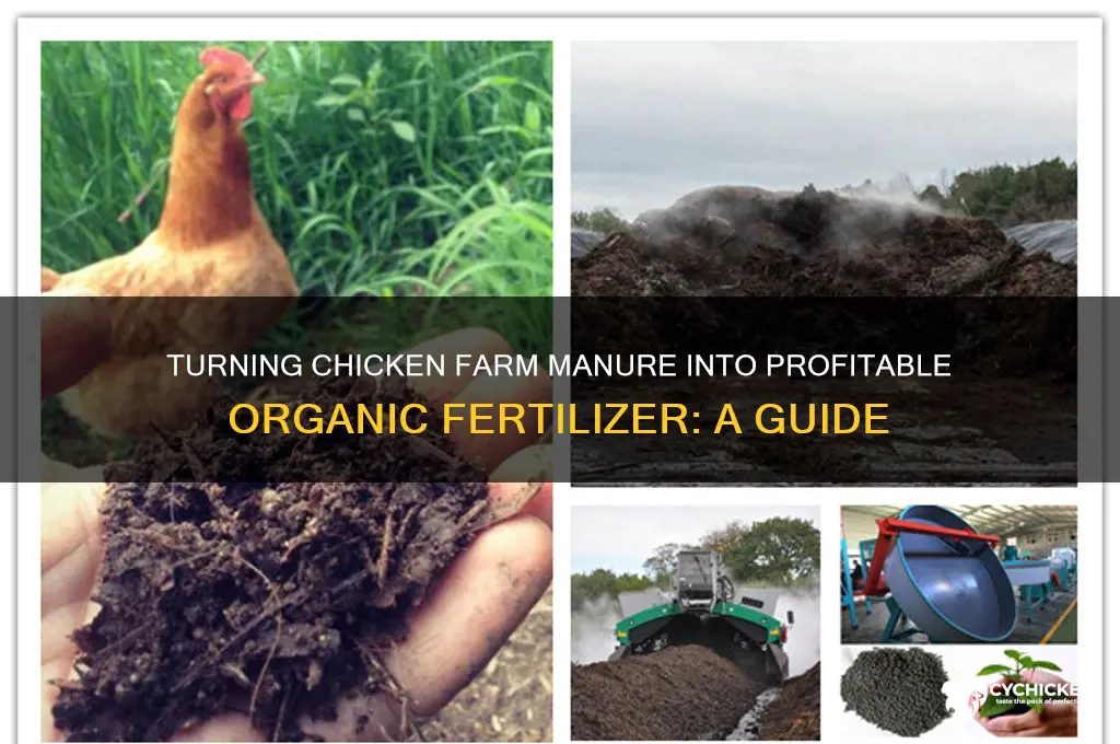 Turning Chicken Farm Manure Into Profitable Organic Fertilizer: A Guide ...