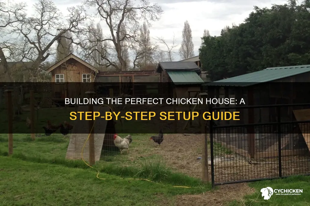 Building The Perfect Chicken House: A Step-By-Step Setup Guide | CyChicken