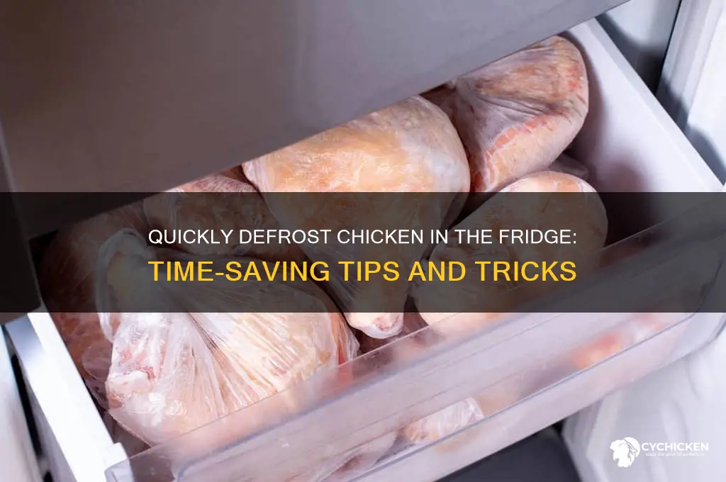Quickly Defrost Chicken In The Fridge: Time-Saving Tips And Tricks ...