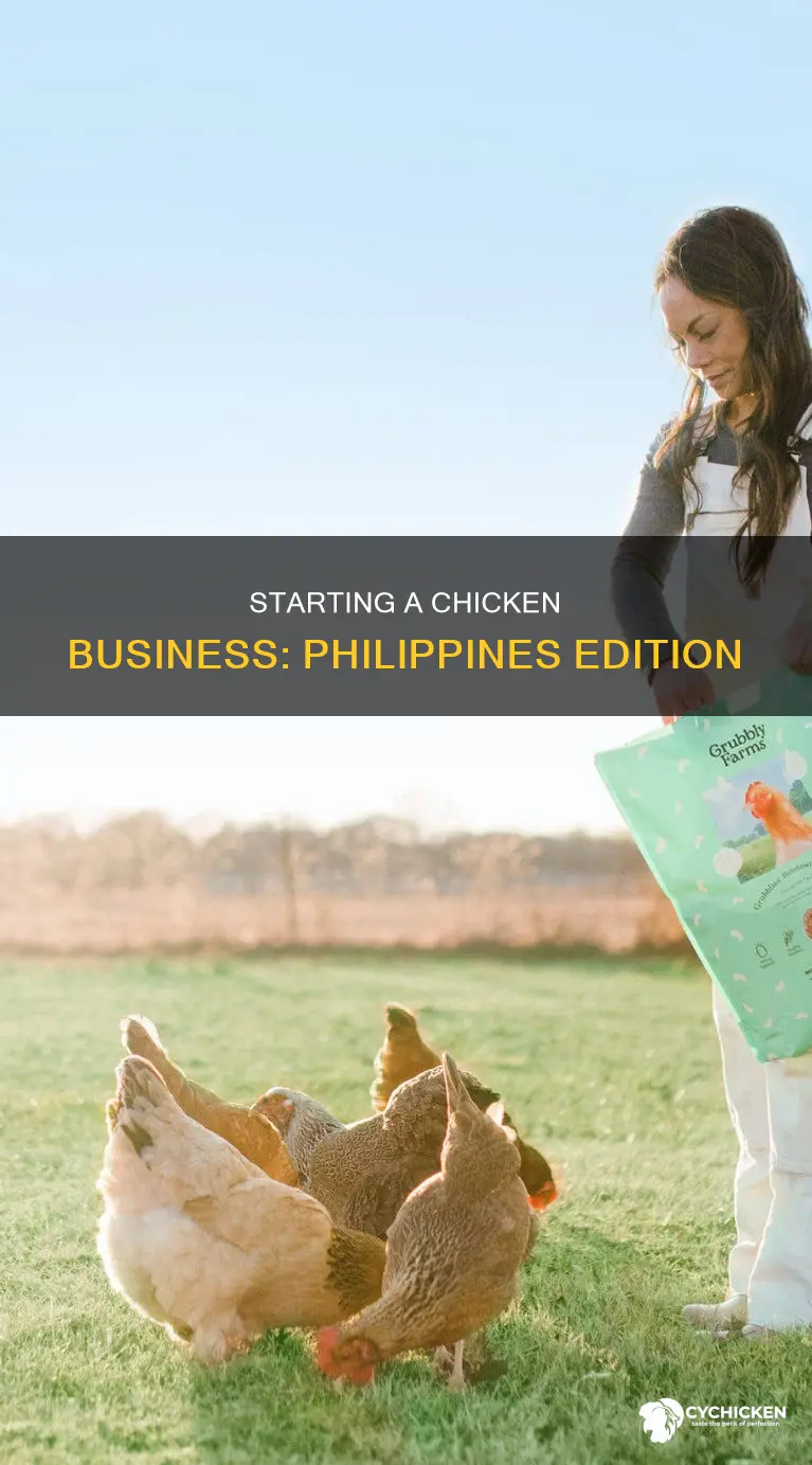 Starting A Chicken Business: Philippines Edition | CyChicken