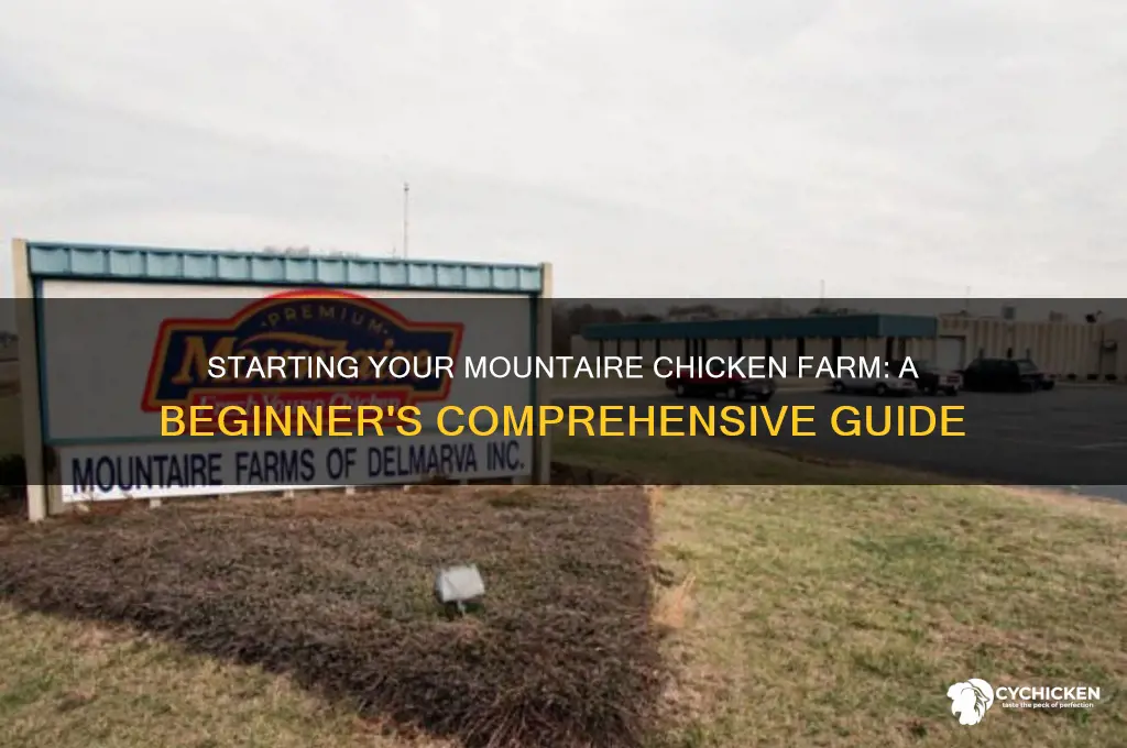 Starting Your Mountaire Chicken Farm: A Beginner's Comprehensive Guide ...