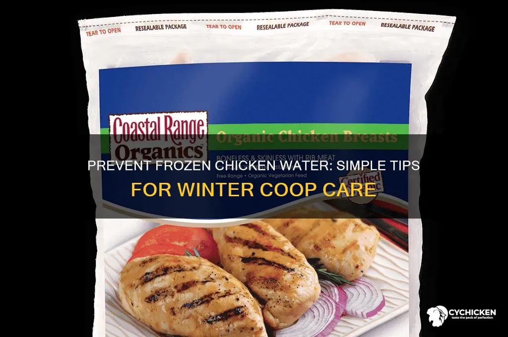 Prevent Frozen Chicken Water: Simple Tips For Winter Coop Care | CyChicken