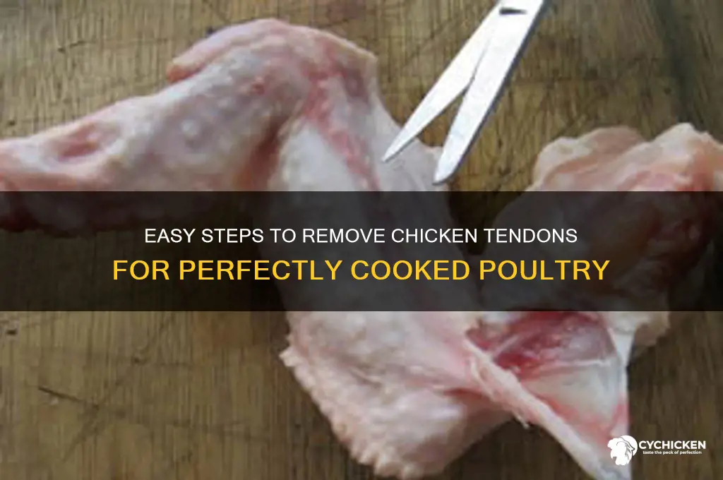 Easy Steps To Remove Chicken Tendons For Perfectly Cooked Poultry ...
