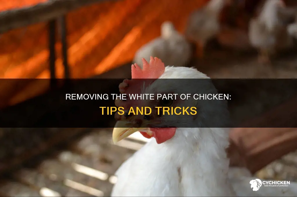 Removing The White Part Of Chicken: Tips And Tricks | CyChicken