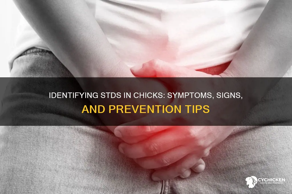 Identifying Stds In Chicks: Symptoms, Signs, And Prevention Tips ...