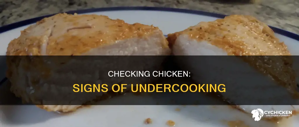 Checking Chicken: Signs Of Undercooking | CyChicken