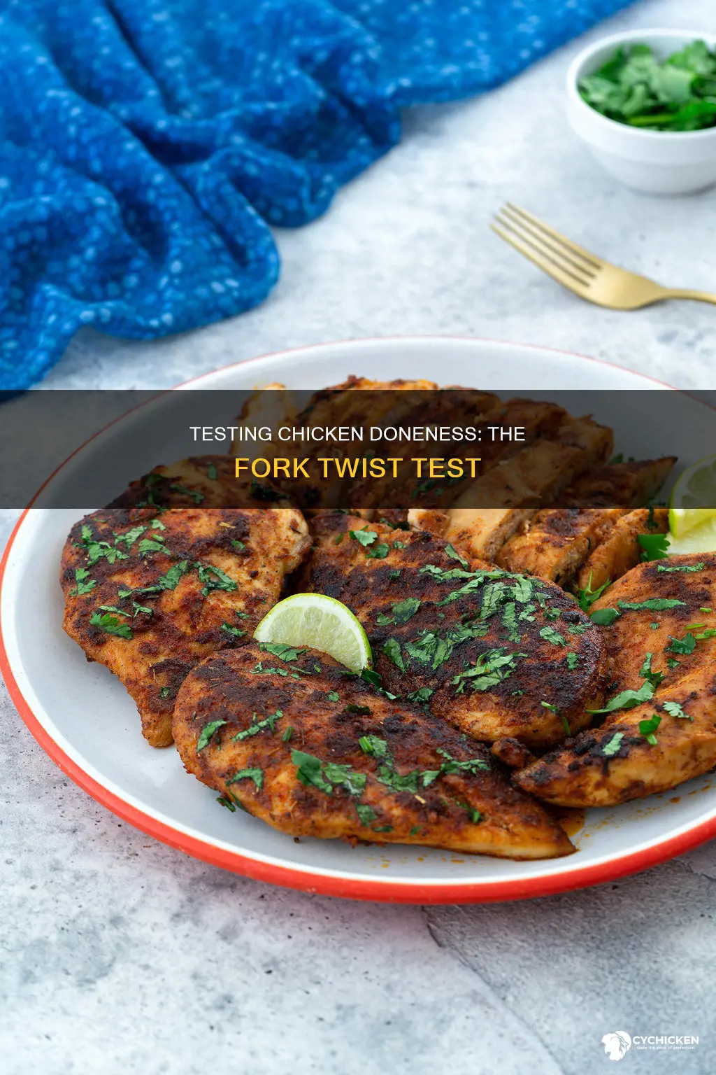 Testing Chicken Doneness: The Fork Twist Test | CyChicken