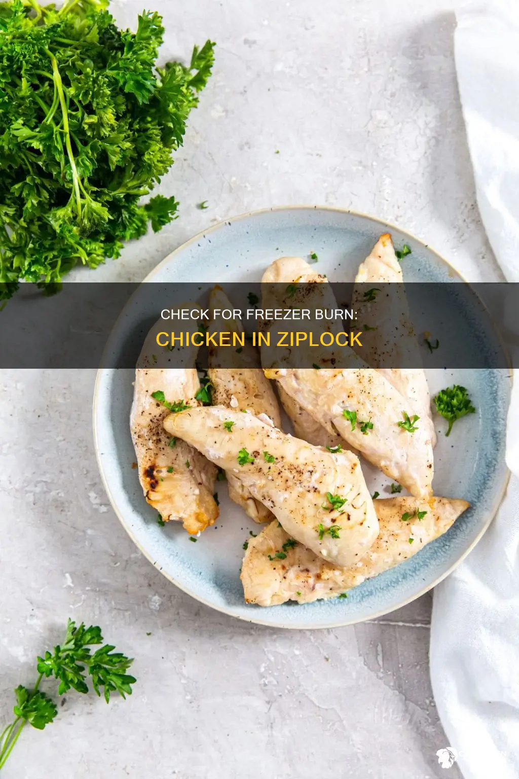 Check For Freezer Burn: Chicken In Ziplock | CyChicken