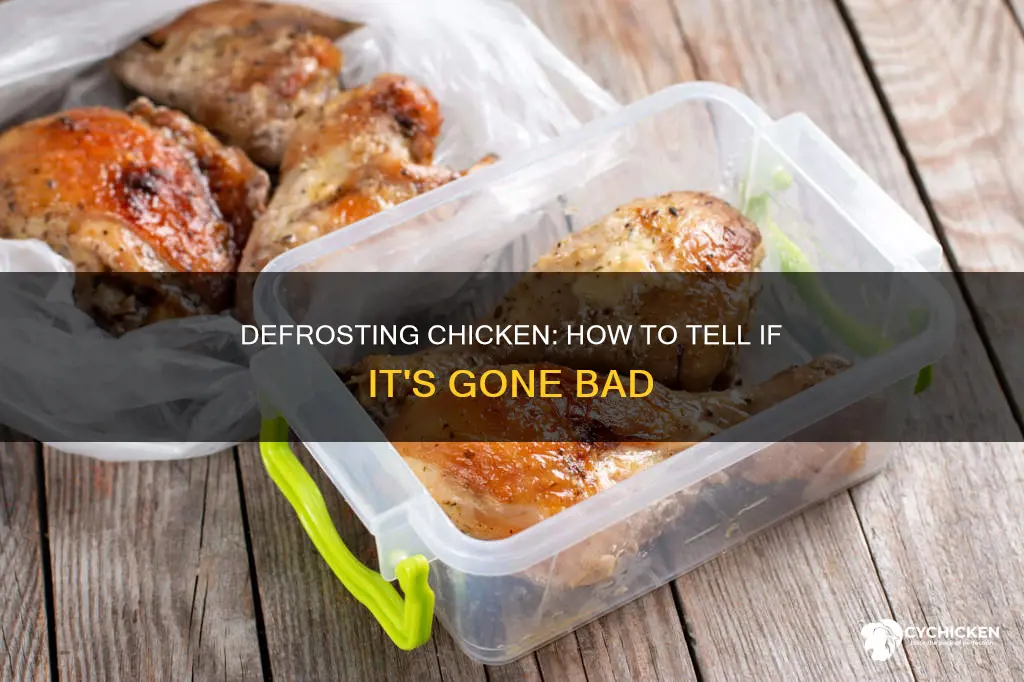 Defrosting Chicken: How To Tell If It's Gone Bad | CyChicken
