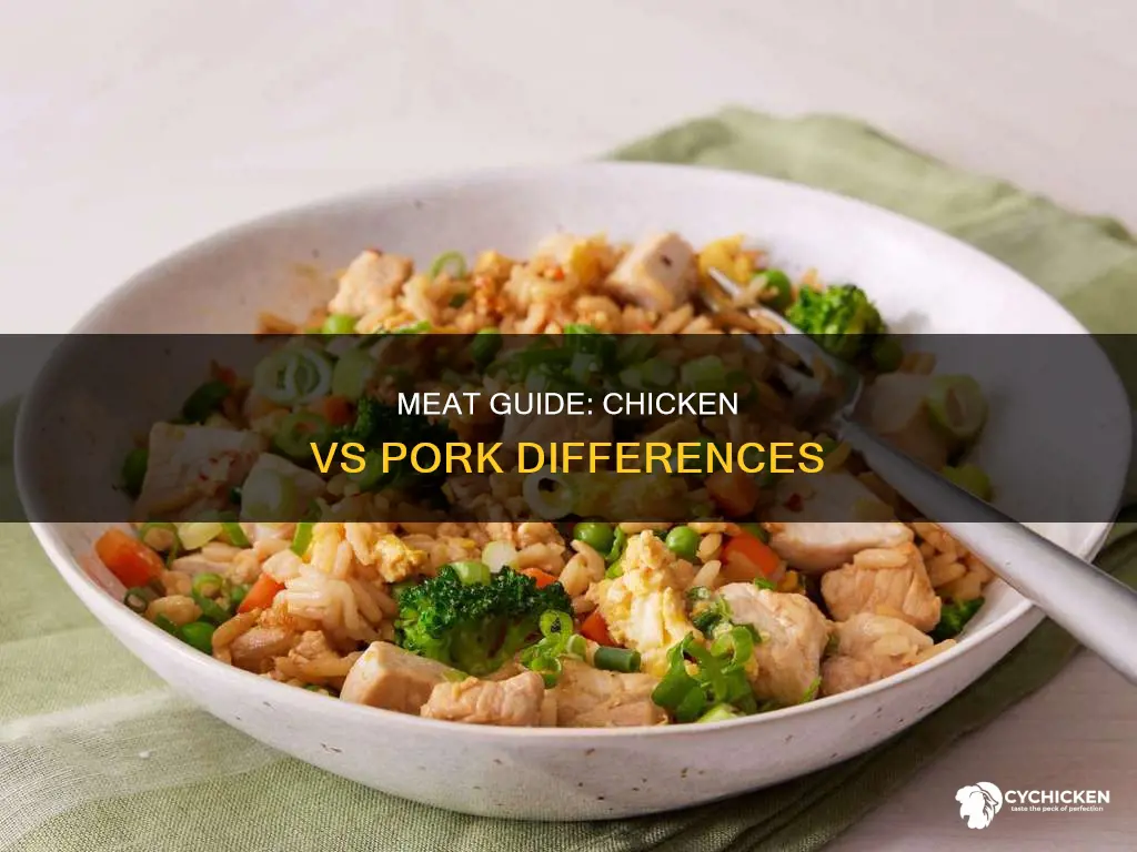 Meat Guide: Chicken Vs Pork Differences | CyChicken