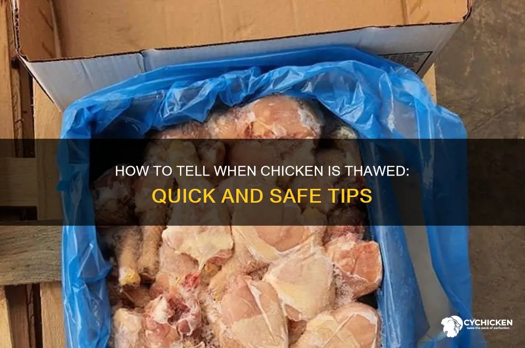 How To Tell When Chicken Is Thawed: Quick And Safe Tips | CyChicken