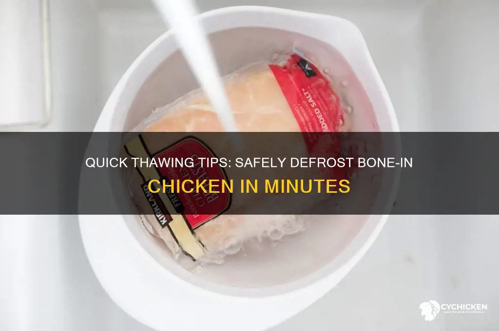 Quick Thawing Tips: Safely Defrost Bone-In Chicken In Minutes | CyChicken