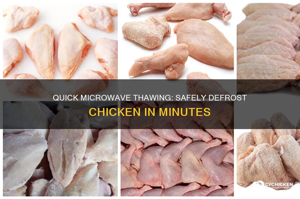 Quick Microwave Thawing: Safely Defrost Chicken In Minutes | CyChicken