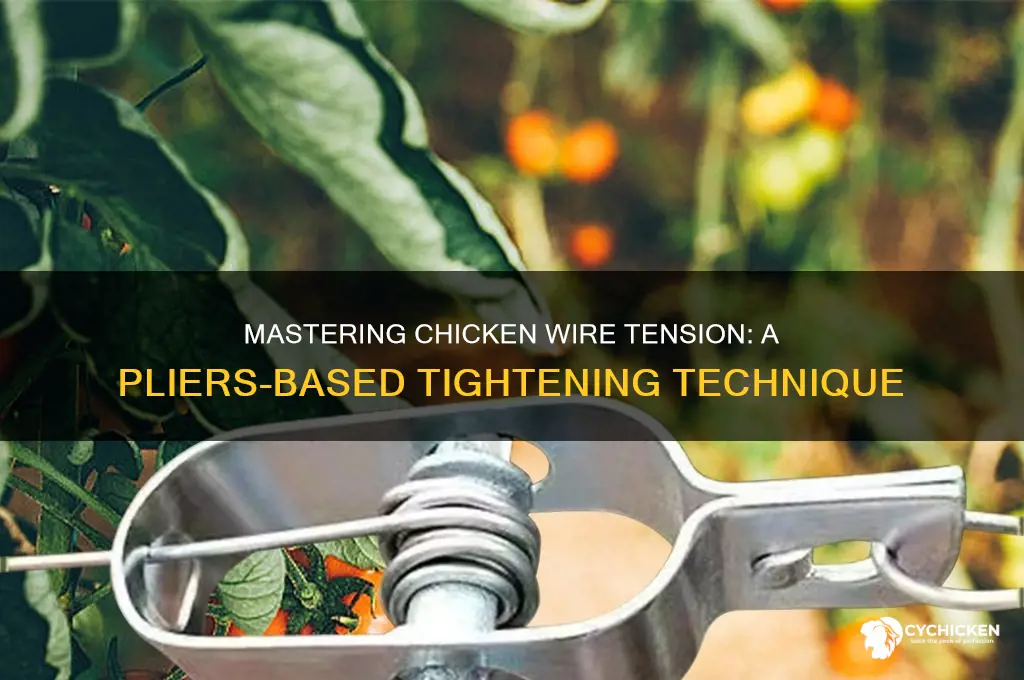 Mastering Chicken Wire Tension: A Pliers-Based Tightening Technique ...