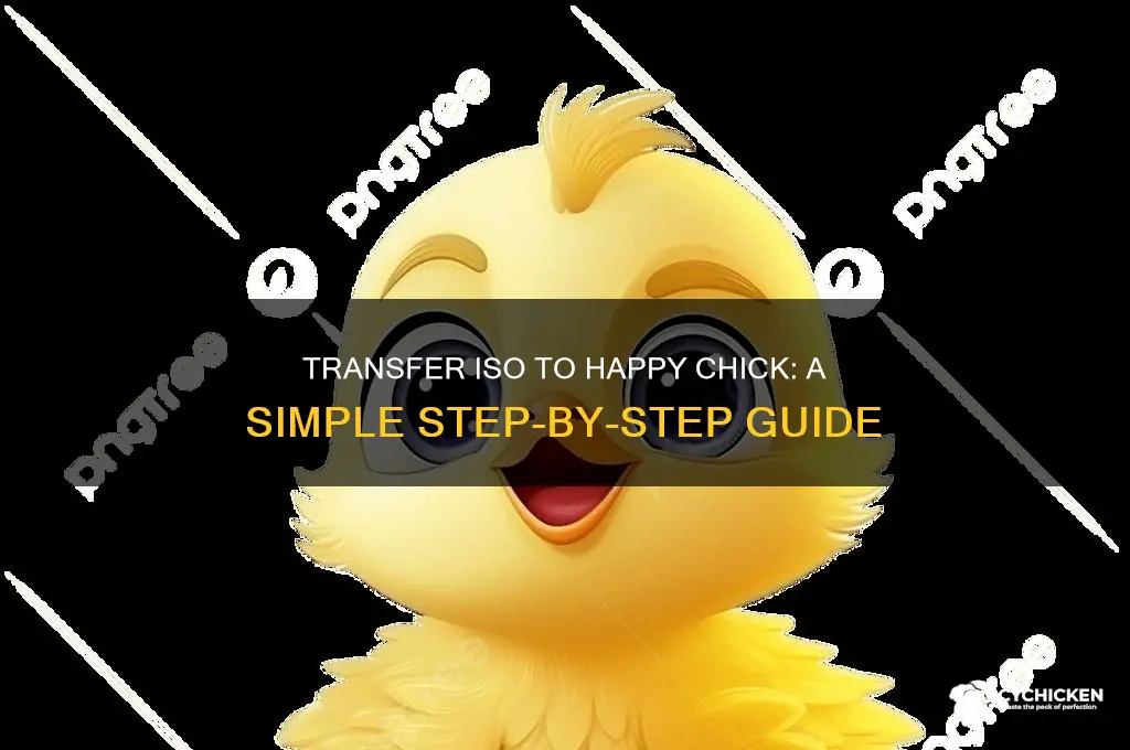 Transfer Iso To Happy Chick: A Simple Step-By-Step Guide | CyChicken