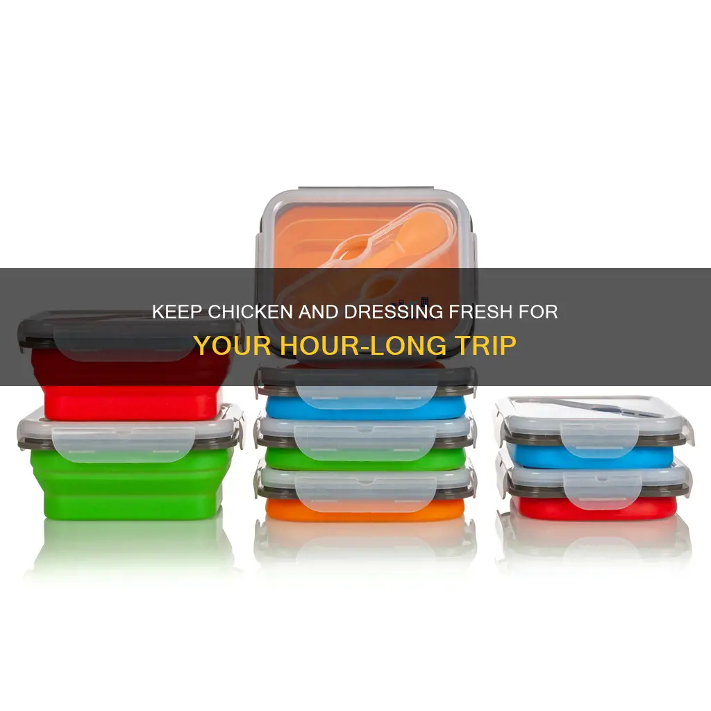 Keep Chicken And Dressing Fresh For Your Hour-Long Trip | CyChicken
