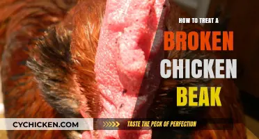 Effective Gapeworm Treatment For Chickens: A Comprehensive Guide ...