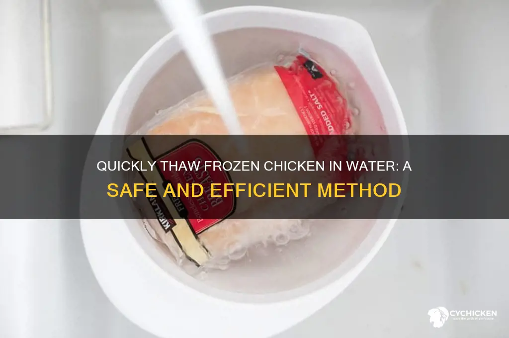 Quickly Thaw Frozen Chicken In Water: A Safe And Efficient Method ...