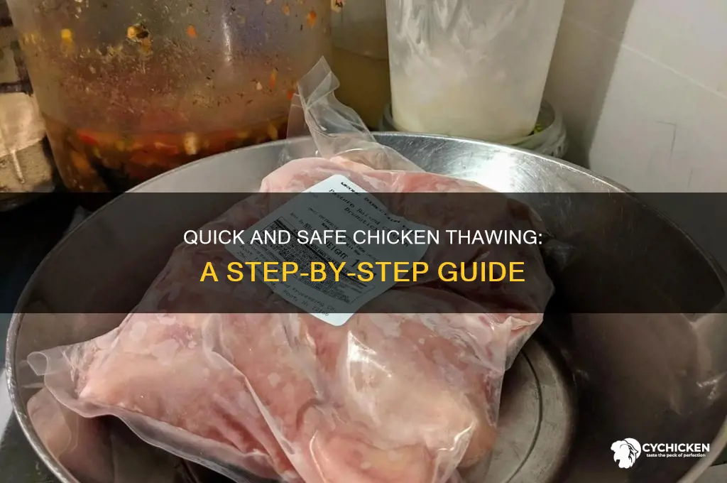 Quick And Safe Chicken Thawing: A Step-By-Step Guide | CyChicken