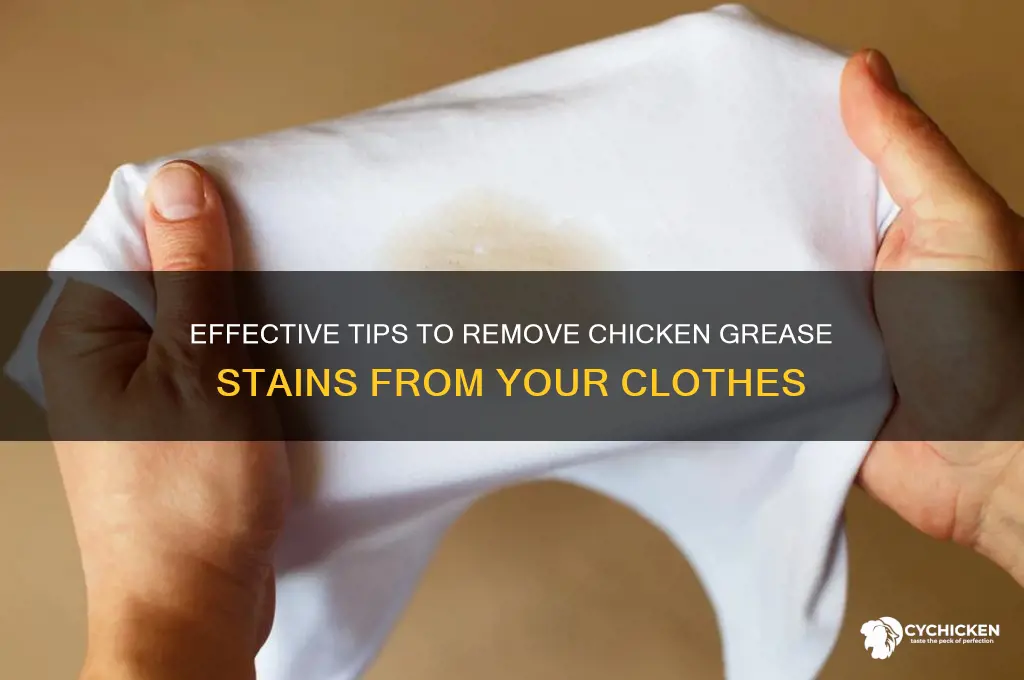 Effective Tips To Remove Chicken Grease Stains From Your Clothes ...