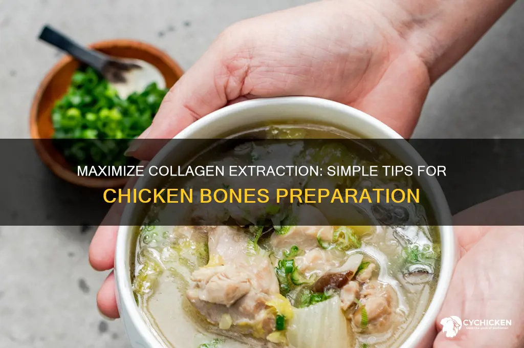 Maximize Collagen Extraction: Simple Tips For Chicken Bones Preparation ...