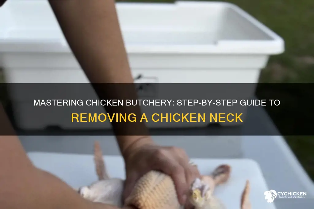 Mastering Chicken Butchery: Step-By-Step Guide To Removing A Chicken ...