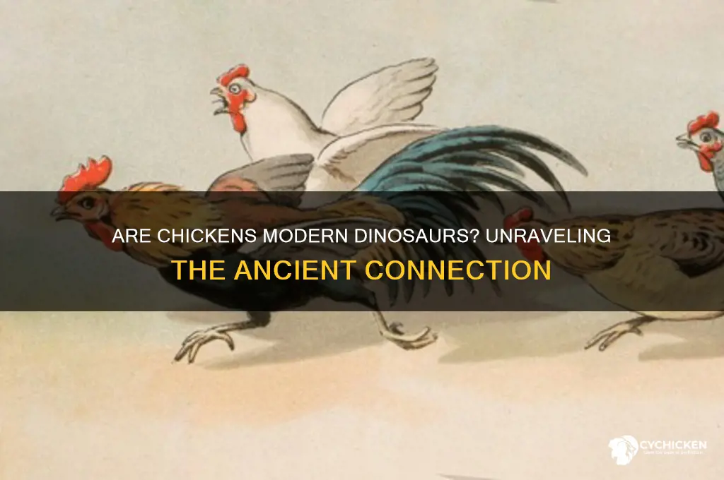 Are Chickens Modern Dinosaurs? Unraveling The Ancient Connection ...